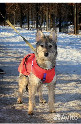 Некрупная девочка подросток