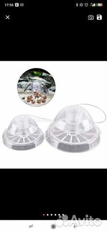 Ловушка для улиток