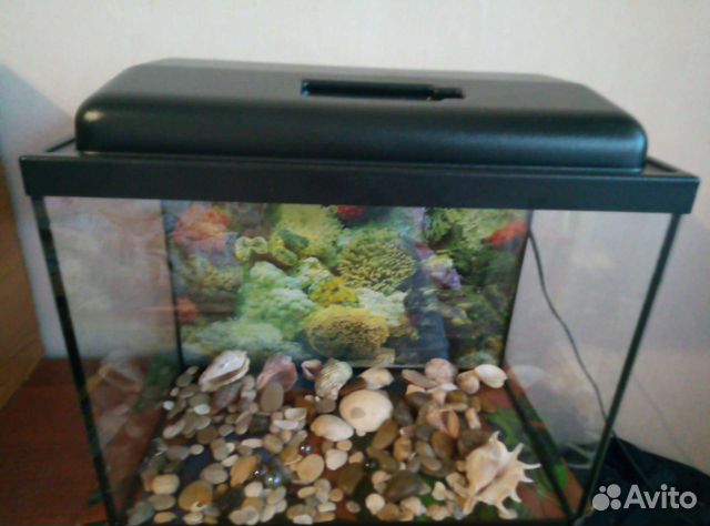 Аквариум