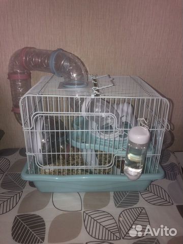 Хомяк с клеткой