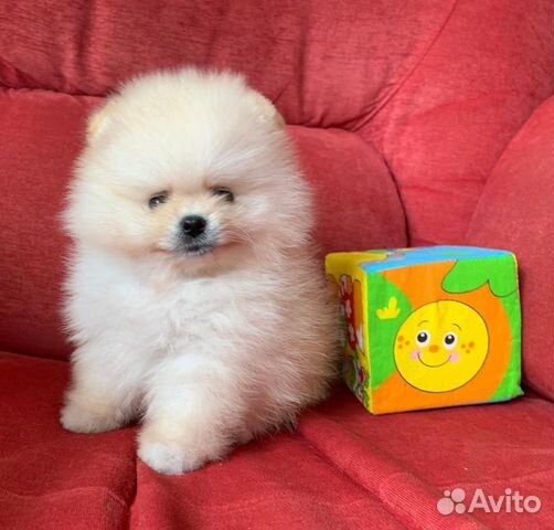 Малыши-карандаши