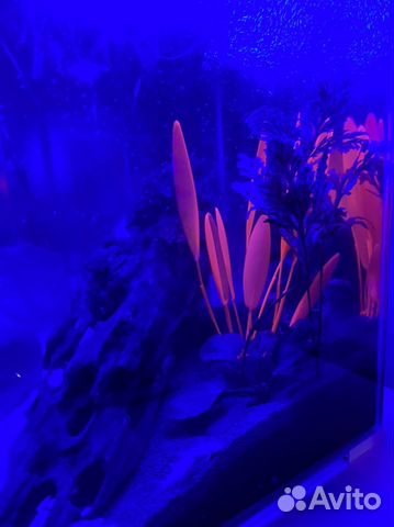 Аквариум кубик Aquael 30л