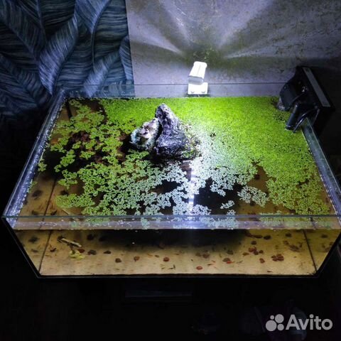 Аквариум с тумбой 87литров
