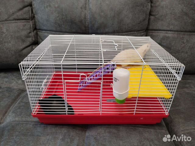 Крыса с клеткой