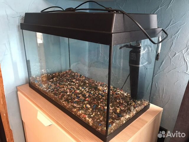Аквариум 50 литров