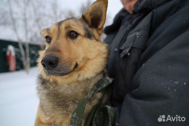 Боится прожить жизнь в приюте