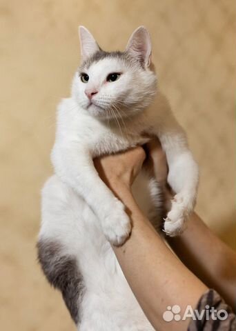 Котя переживает