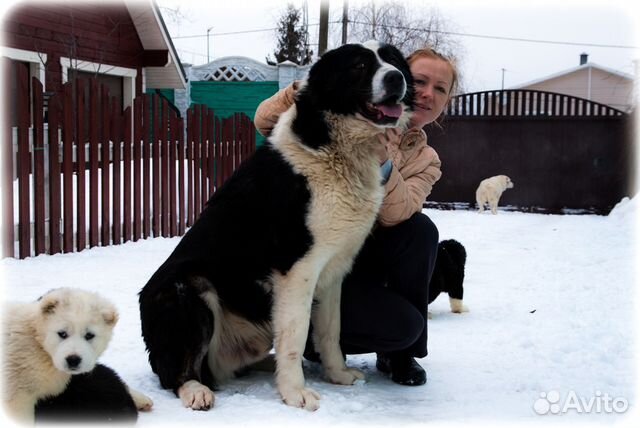 Джакарт