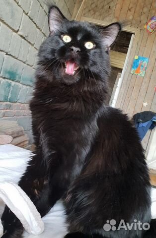 Молодой симпатяга желает познакомиться