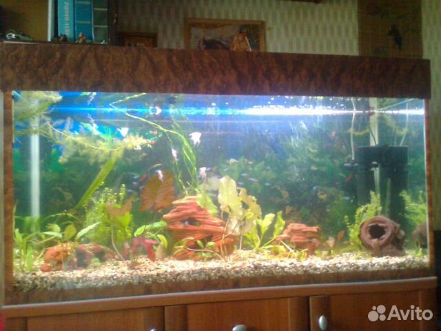Аквариум 360 л