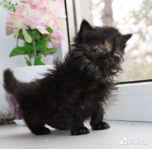 Особенная малышка Маруся