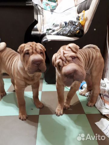 Новогодние складочки