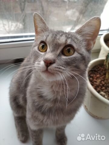 Дуняша верит И ждет