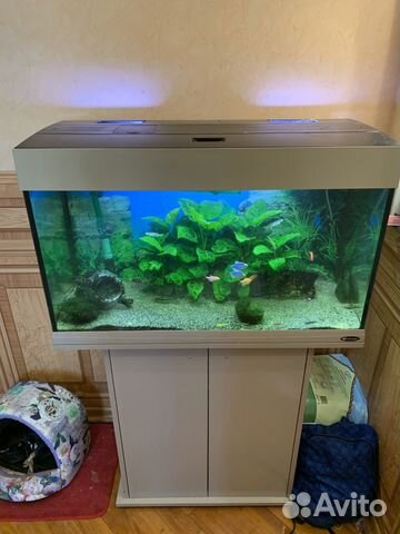 Аквариум Ferplast Dubai 80 (бежевый) с тумбой