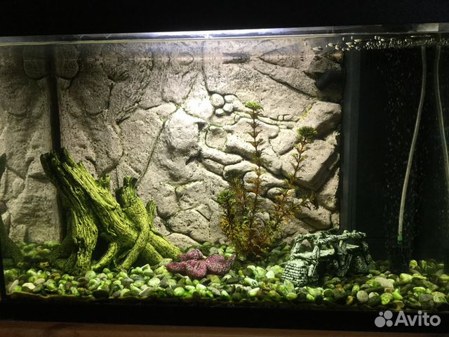 Б/У аквариум Juwel Monolux 60 (60л)