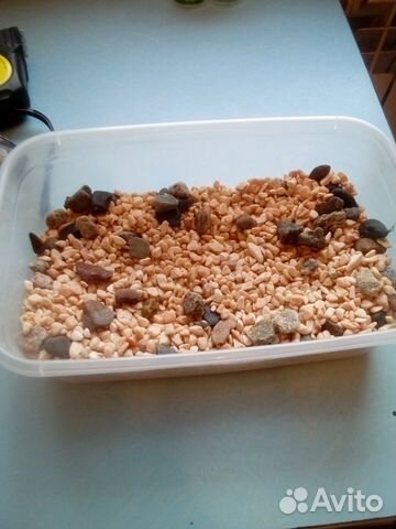 Грунт для аквариума