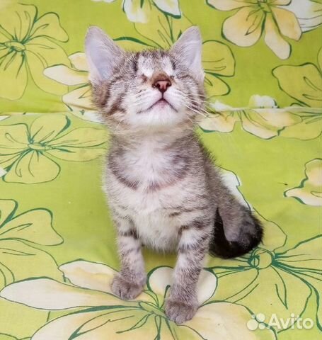 Мама, Я тебя не увижу