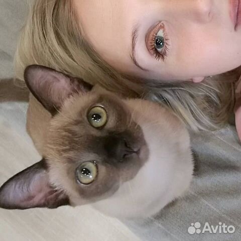 Тонкиночка натуральная