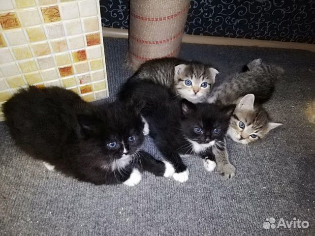 Малыши - "карандаши"