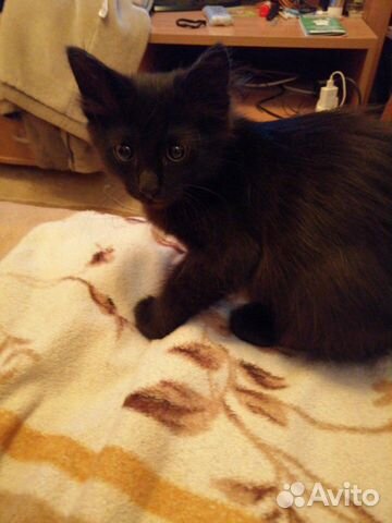 Малышке очень нужна любящая семья