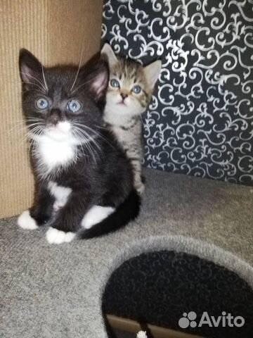 Малыши - "карандаши"