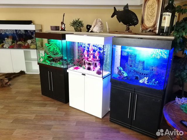 Аквариумы на тумбе с крышкой