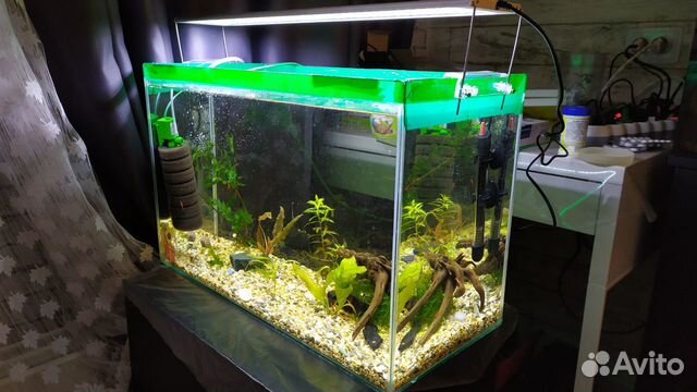 Аквариум, камни, декор