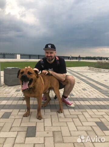 Граф ищет дом