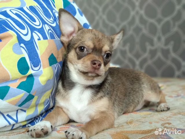 Мальчик 3.5 месяцев