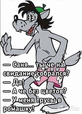 Продам бомбейских котят