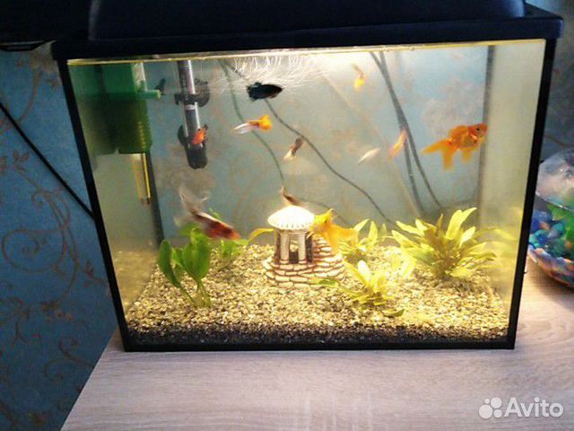 Аквариум 35л