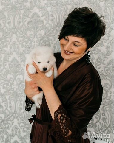 Щенки самоедиков