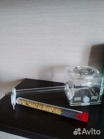 Инкубатор для муравьев новый и корм