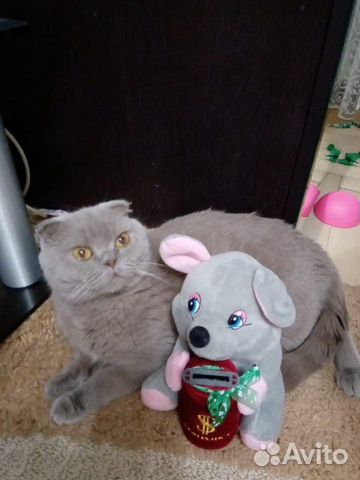 Вязка