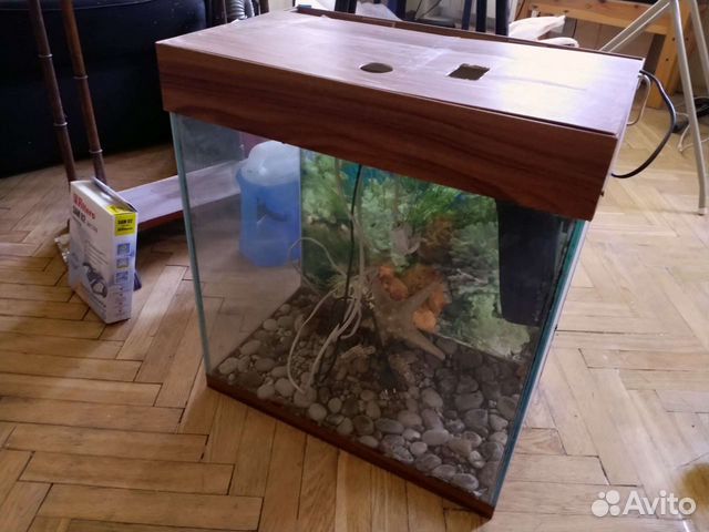 Аквариум с оборудованием