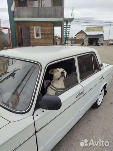 Вязка