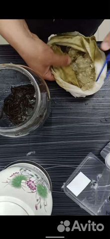 Пиявка стандартная классическая от 0,6 до 2,0 г