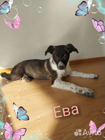 Ласковая девочка