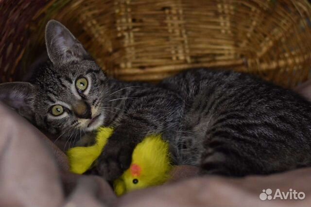 Очаровательный парень ждет свою семью