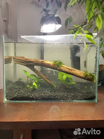 Аквариум