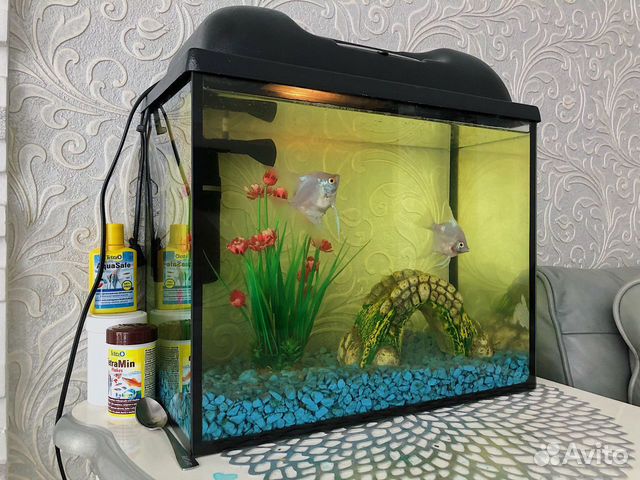 Аквариуим, полный комплект с рыбками
