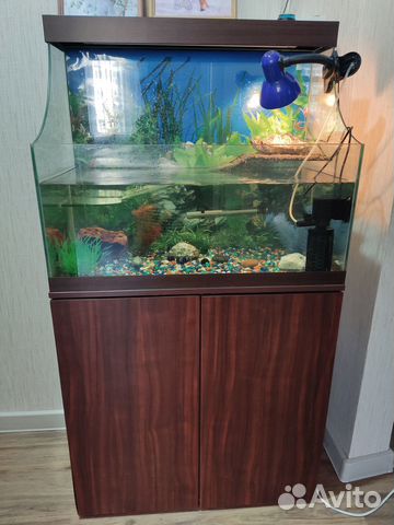 Красноухая черепаха с аквариумом 200л. и тумбой