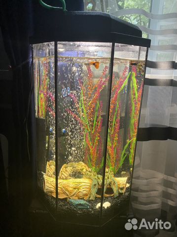 Аквариум