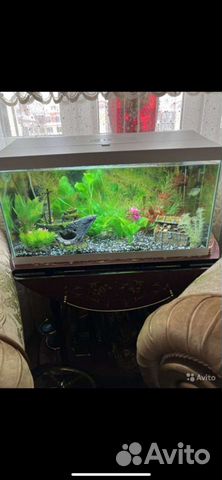 Украшение для аквариума и акквариум