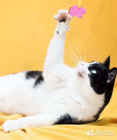 7 лет - уже всё