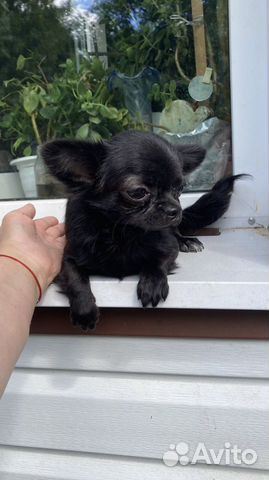 Мини Мальчик 6 месяцев