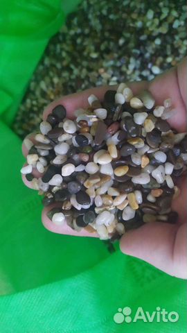 Грунт для аквариума