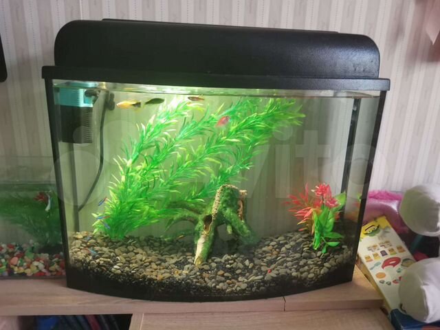 Аквариум почти новый 35 литров оборудование декор