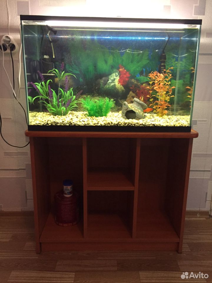 Аквариум